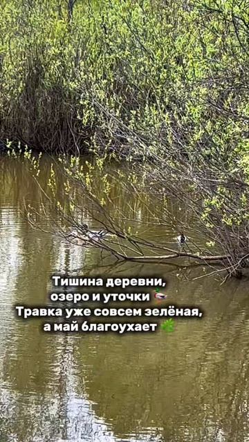 Озеро