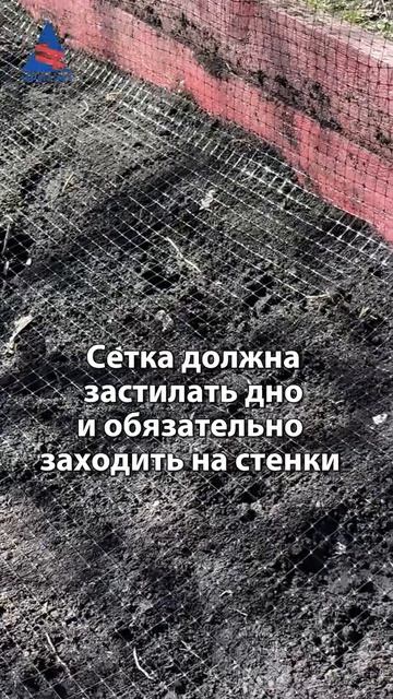 Как защитить грядку от кротов🐭🚫 #садоводничество #дача