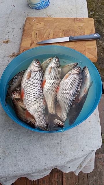 😍🐟 Клюнула, поймал, доволен! 😲 Сорвал джекпот на речке! 🤪 (19 мая 2026г).