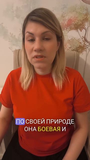 Овен. Мама по знакам зодиака