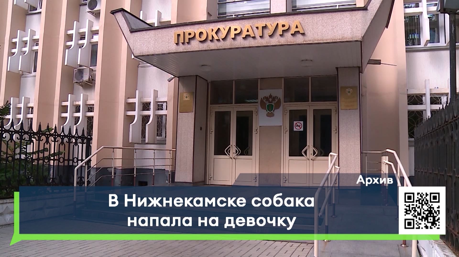 В Нижнекамске собака напала на девочку