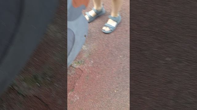 обзор моего двора