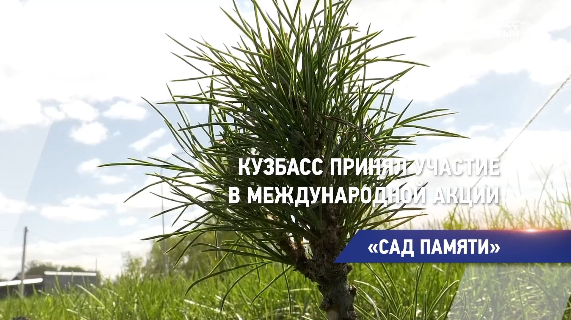 «Сад памяти»