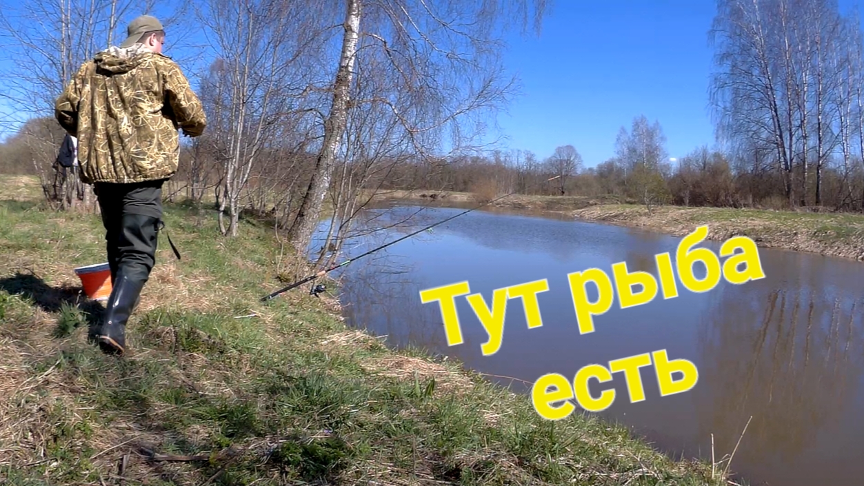 Весенняя рыбалка в нерестовый запрет #рыбалка