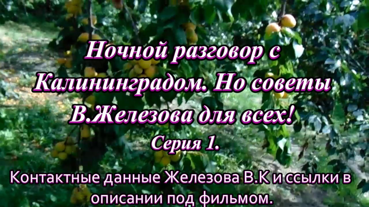 Ночной разговор с Калининградом. Но советы В.Железова для всех! Серия 1.