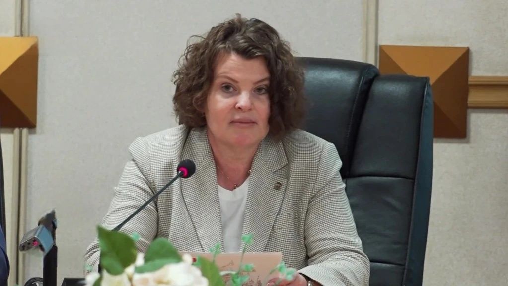 Глава Брянска Марина Дбар вручила премии работникам культуры