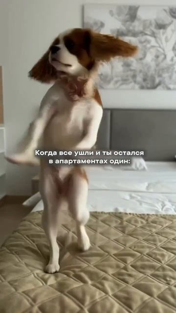 Ждал этого момента 😁