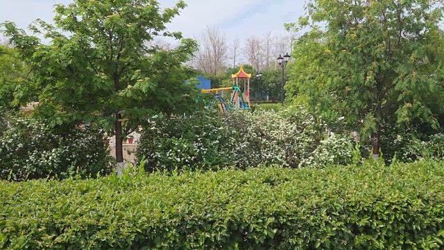 Прогулка от сквера  ДКиС Газовик до сквера ПетраI Видео Виктор Поживин  Оренбург 19.05.26.