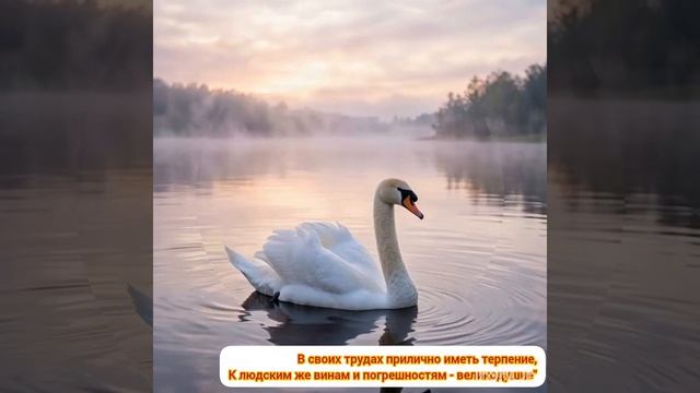 ... один лишь взгляд
