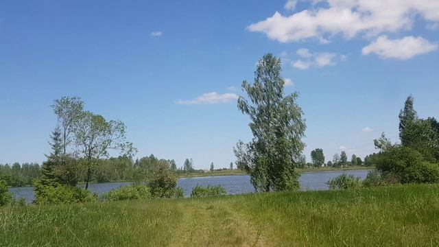 046▪️Дорога к озеру▪️Прекрасная погода▪️Футажи ▪️Фантастический пейзаж ▪️Природа радует позитивом