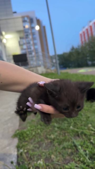 Милота ❤️