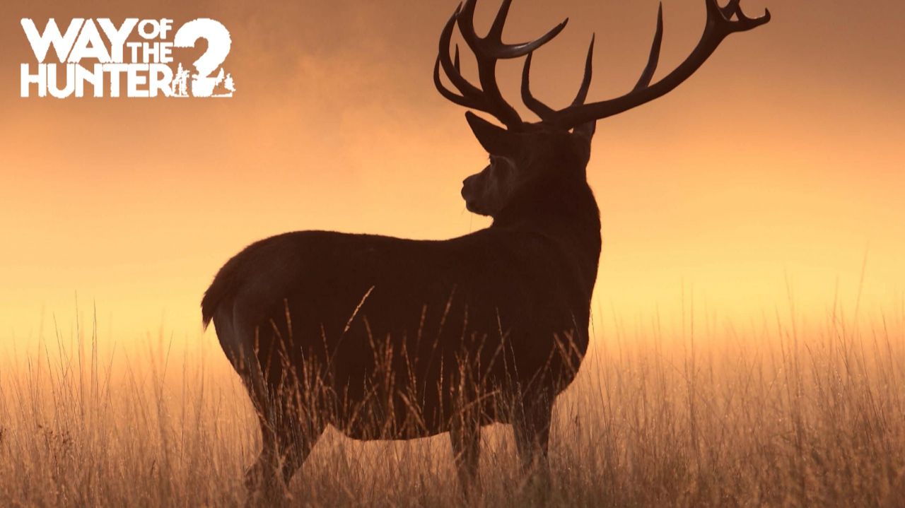 Ночная Охота в игре Way of the Hunter 2 | Путь Охотника #10