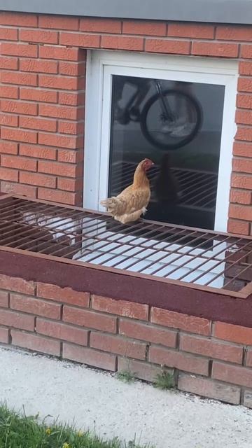 Неожиданно 😳