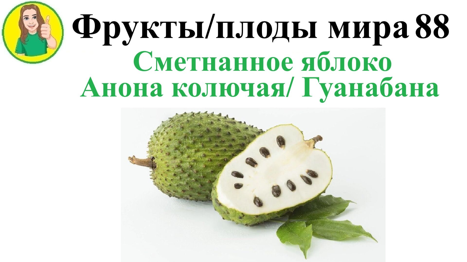 Фрукты – плоды мира 88 –  Гуанабана или Анона колючая или Сметанное яблоко Сыроедение Фрукторианство