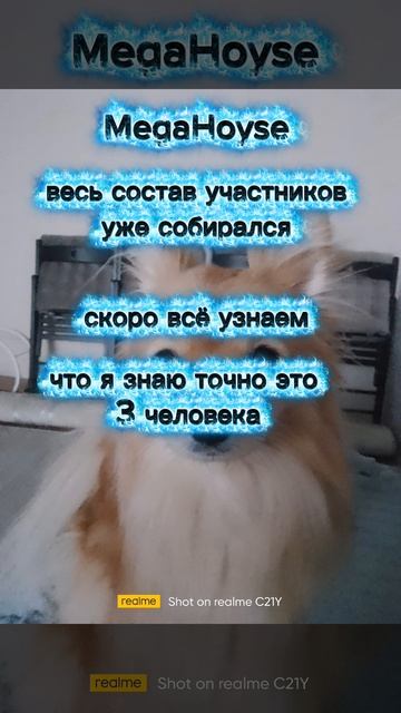 3 новых человека