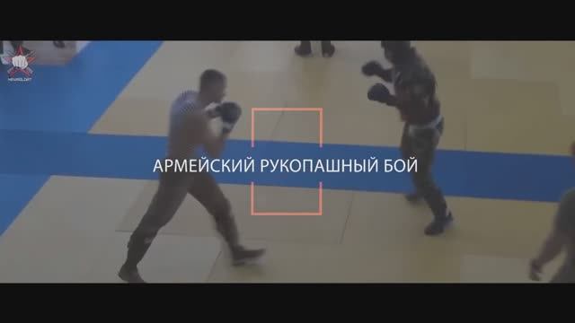 Армейский рукопашный бой. АРБ