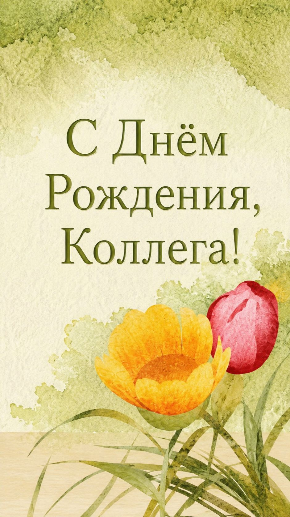 С Днём рождения, коллега!(Лето).