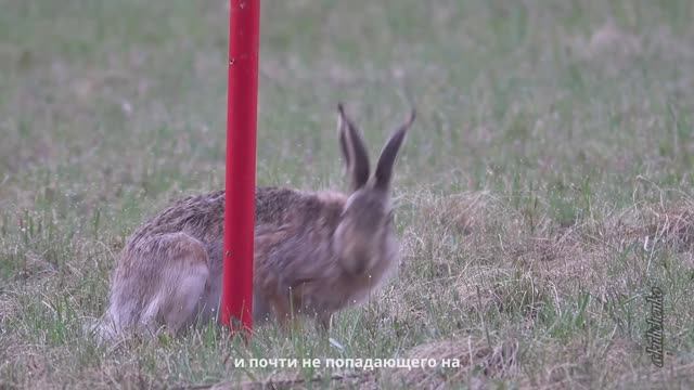 РУСАК-МЕТЕОРОЛОГ Проверка на маршрутах
