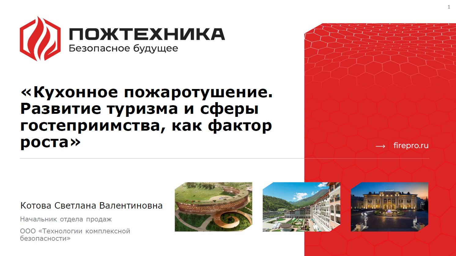 Кухонное пожаротушение. Развитие туризма и сферы гостеприимства, как фактор роста