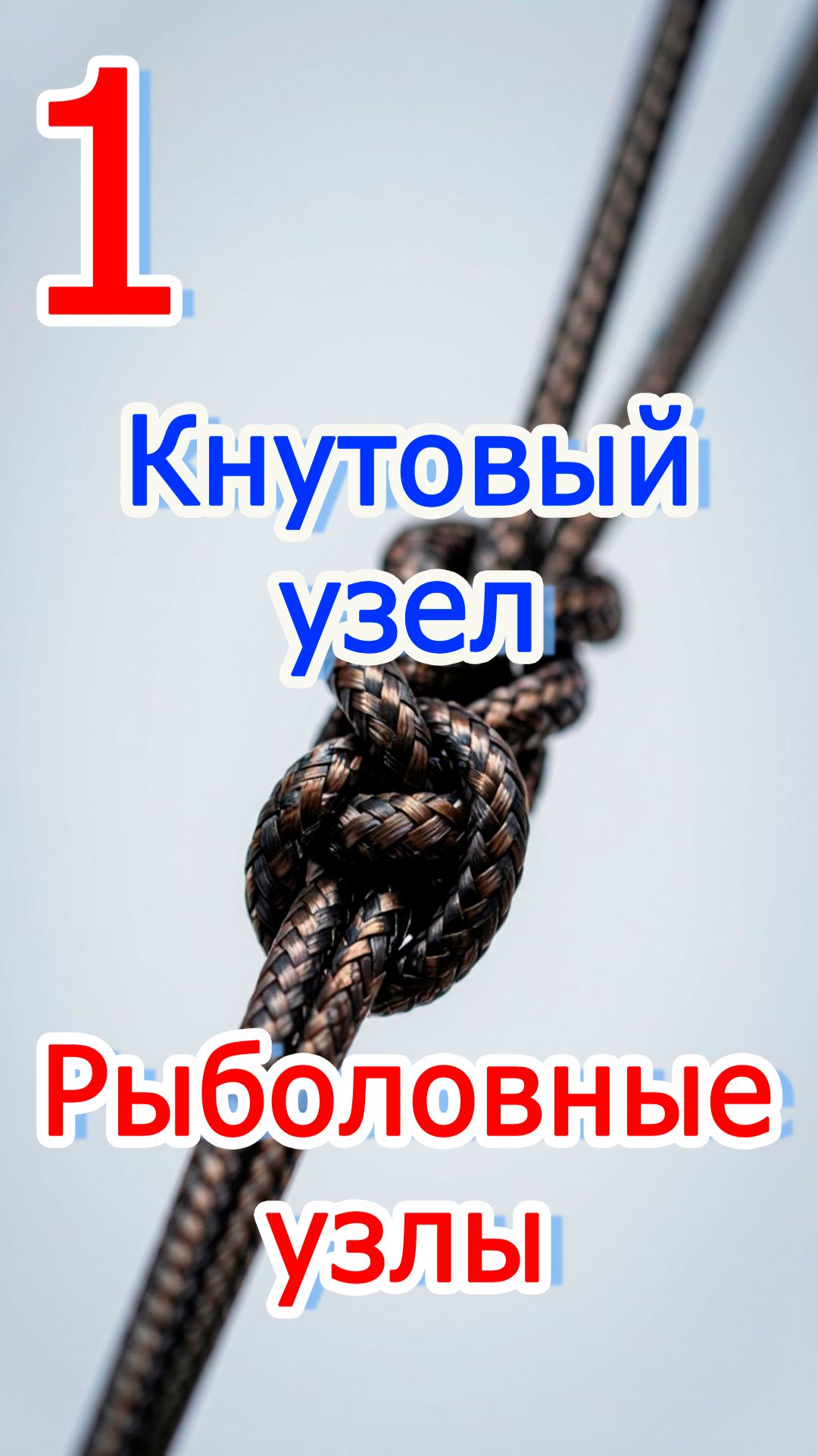 Кнутовый узел