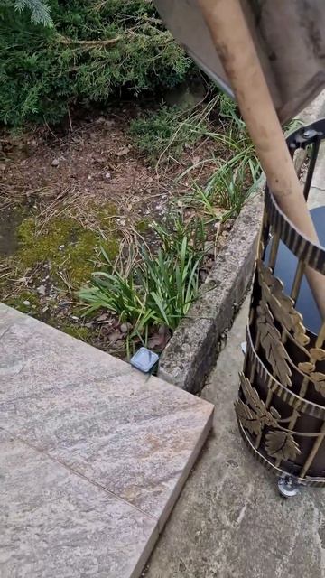 а у вас есть ступа для ухвата