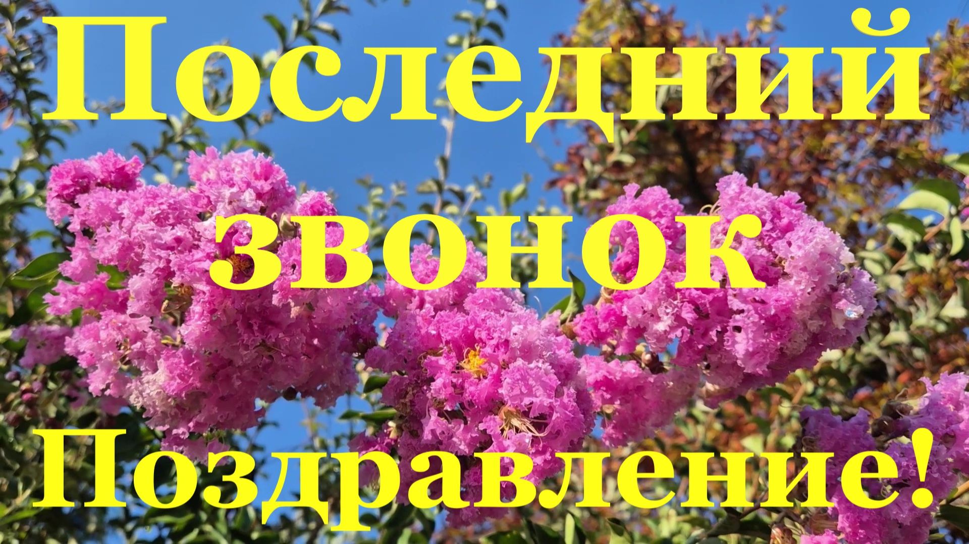 На Последний звонок поздравление Классному руководителю!