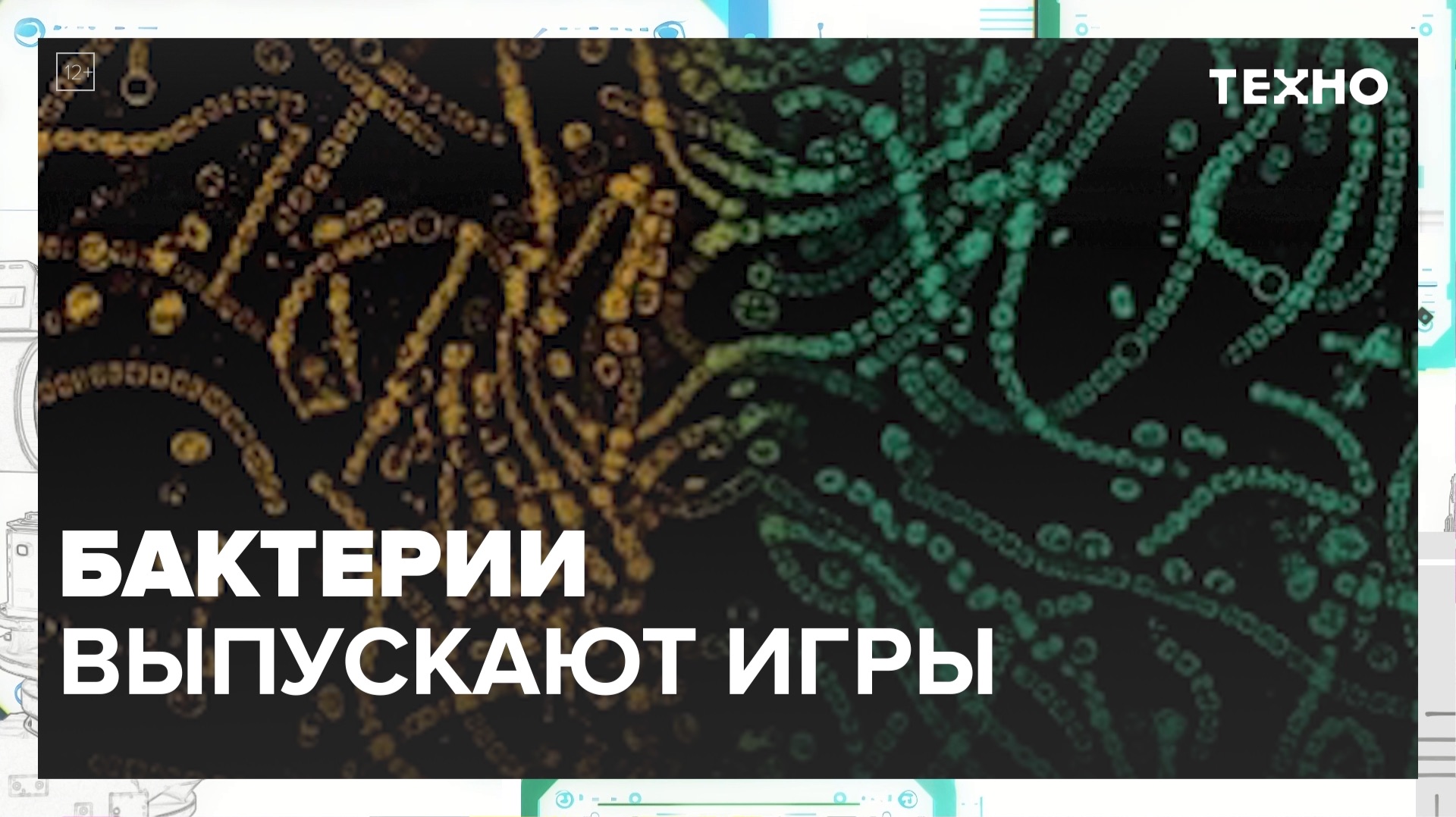 Ученые запустили игру на бактериях | Техно — Москва 24