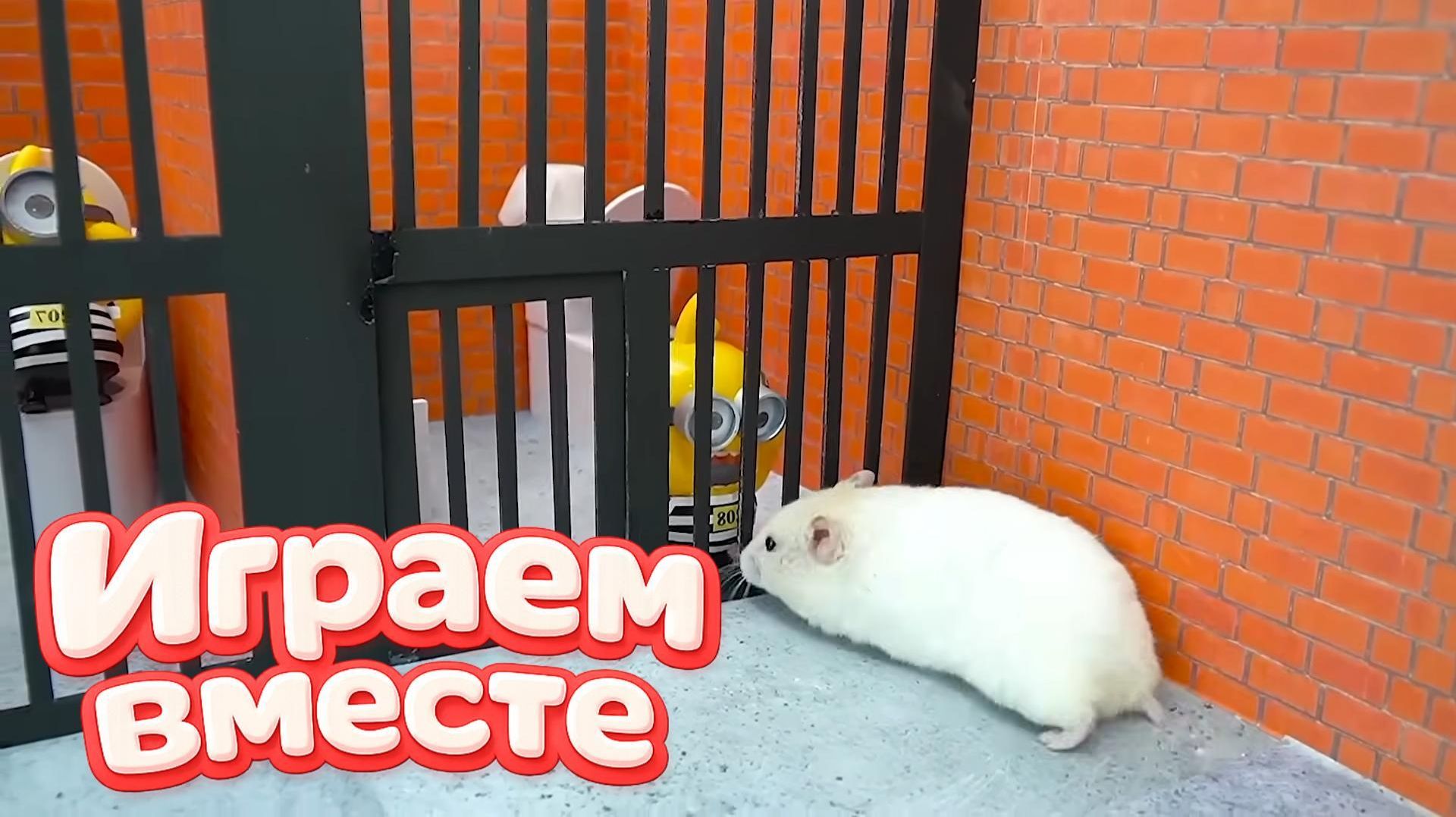 ХОМЯК ПРОНИК В СЕКРЕТНЫЙ ЛАБИРИНТ 🐹 Играем ВМЕСТЕ ! №2 ! Помогаем выбраться из лабиринта !