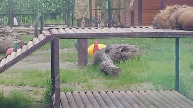 AYVR9819-20.05.2026-Видео от Ивана