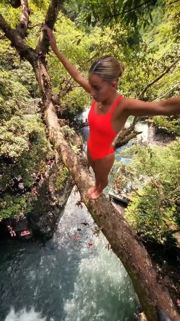 Дерево и вода