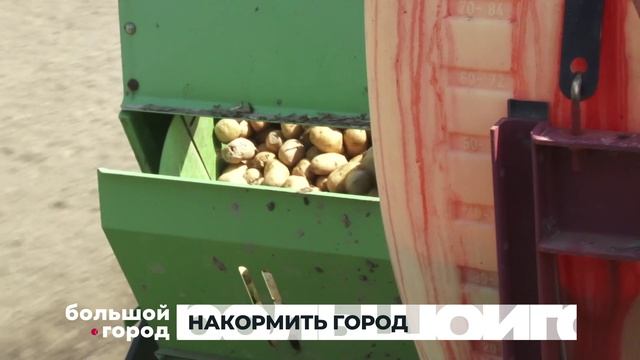 НАКОРМИТЬ ГОРОД. Большой город 20/05/2026