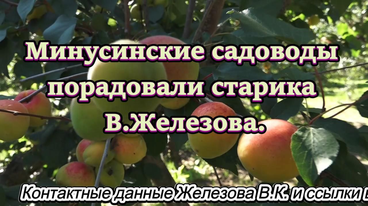 Минусинские садоводы порадовали старика В.Железова.