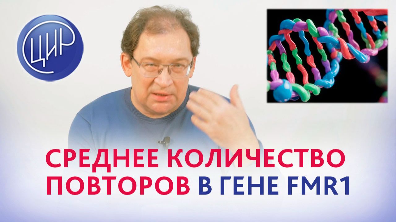 Среднее количество повторов в гене FMR1 и его влияние на фертильность женщины.