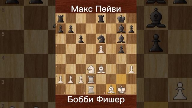 Пэви против Фишера (1956) Юный Фишер против топ-мастера США