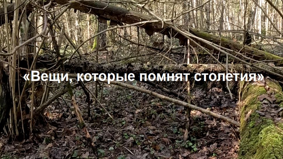 Артефакты прошлого: что нашли за день в глухом лесу.