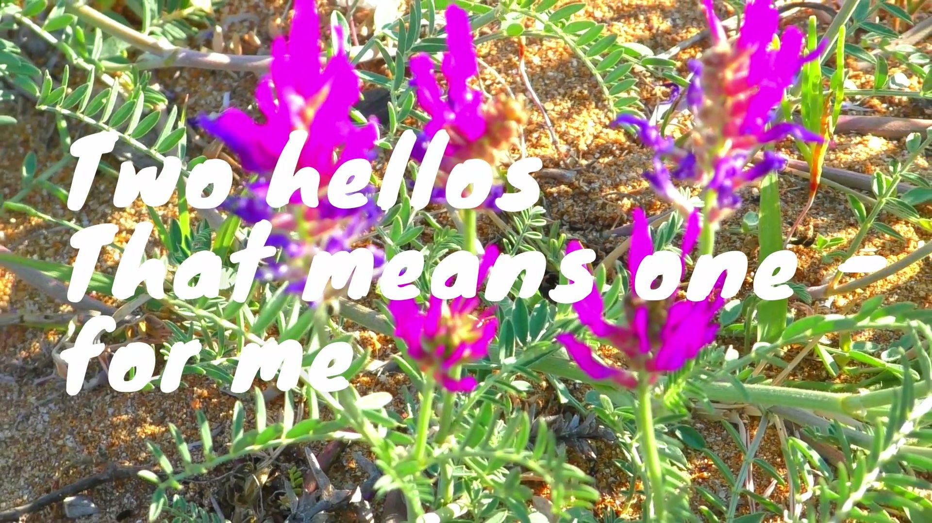 Two hellos