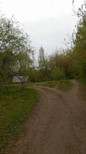 Аркуль, по дамбе, май месяц