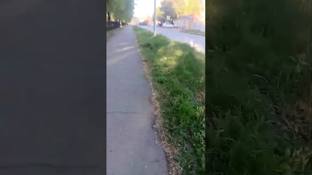 стрим прогулка