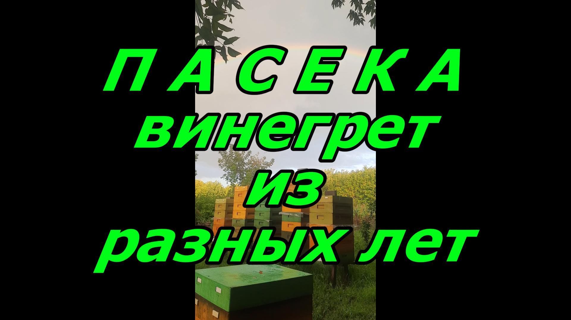 Пасека, винегрет из разных лет...