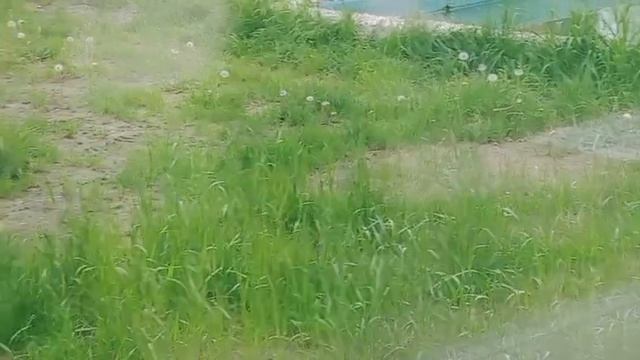 NBEI5503-20.05.2026-Видео от Ивана