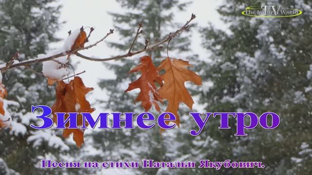 💞❄️Зимнее утро в марте.💞❄️ Песня на стихи Натальи Якубович..″The Natural World″ (Мир Природы) 👍