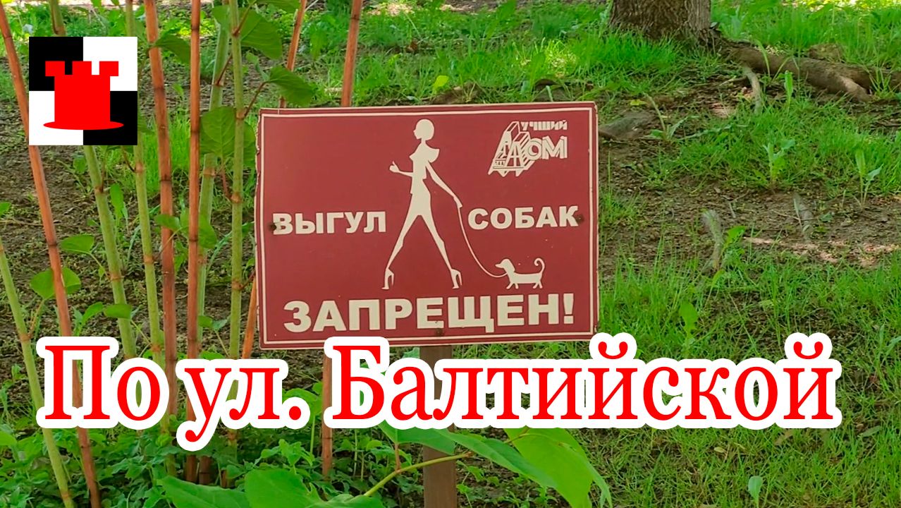Милая сердцу улица Балтийская