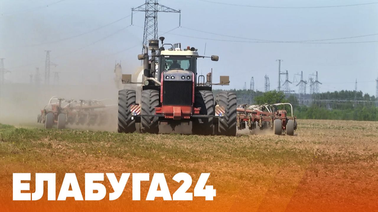 Новости Елабуги от 20 мая 2026