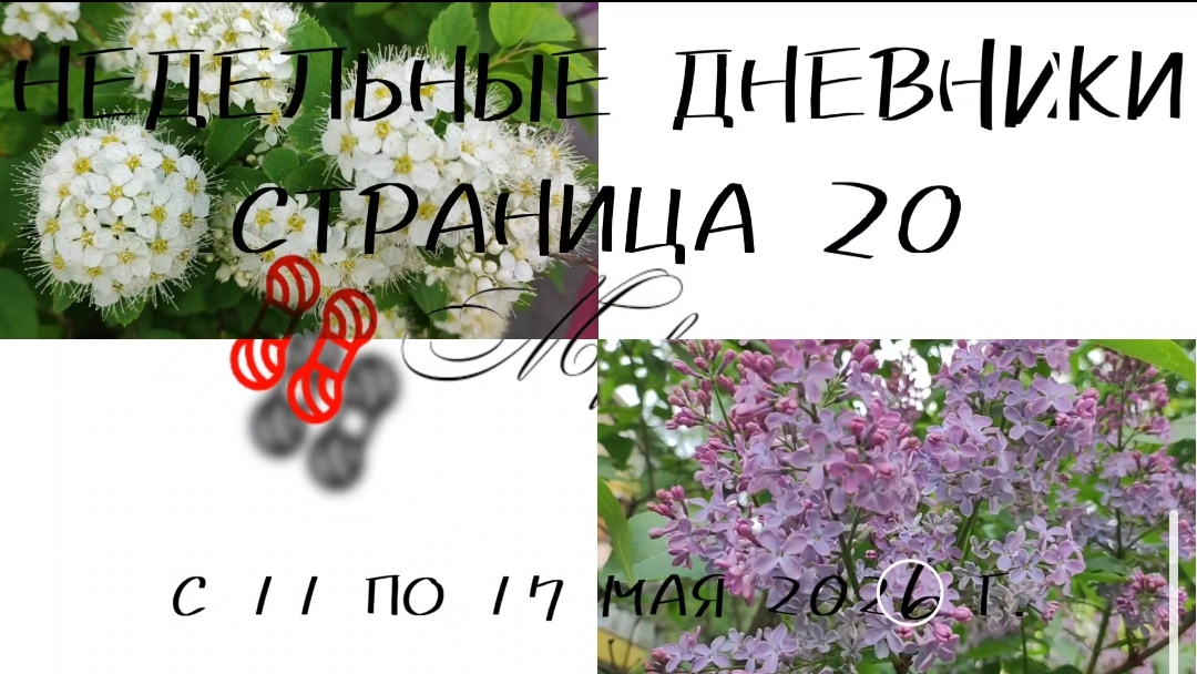 Недельные дневники. 11-17 мая. Экскурсия на "Очаково". Два новых старта. Продвигаю платье