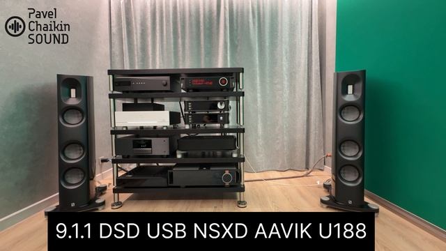 9.1.1 DSD USB NSXD AAVIK U188