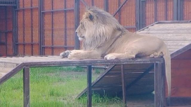 HWWW4770-20.05.2026-Видео от Ивана