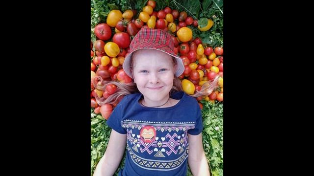 Большесельский МО_Бубушкины_Ролик