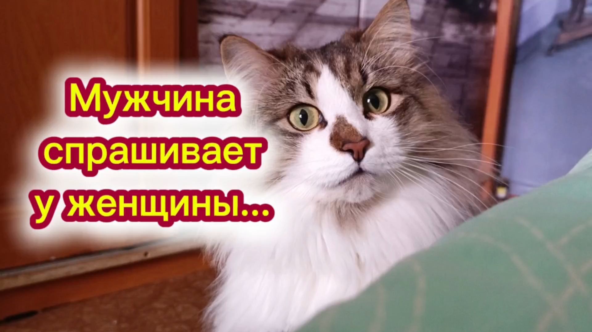 Прикольная озвучка 🤣