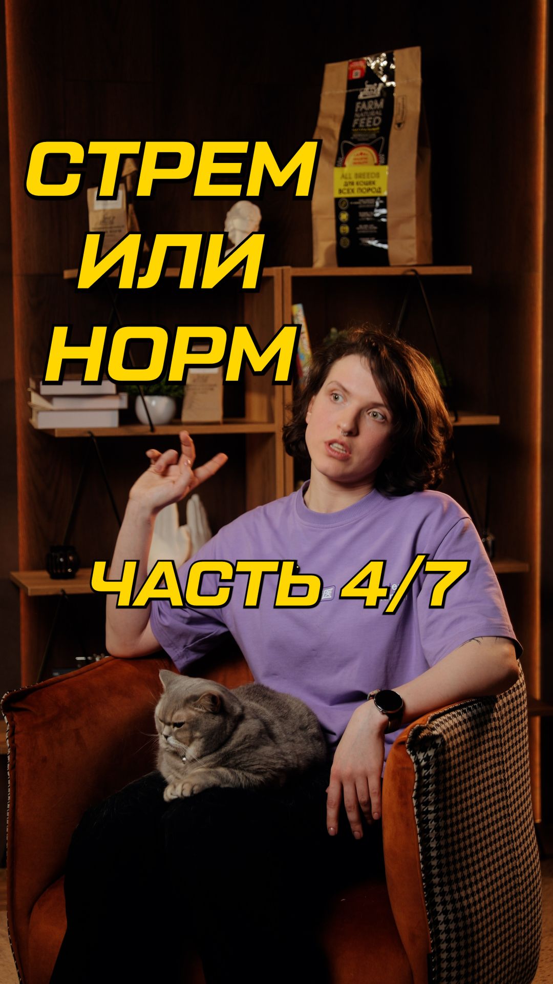 Стрем или норм: состав сухого корма.