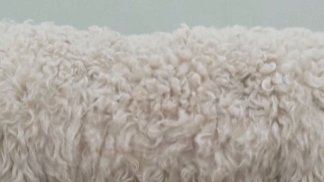Карина из Aespa снялась в абсурдном сне для коллекции очков Gentle Monster